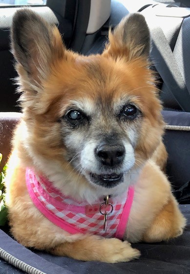 Meet the Team - Romancing Your Soul